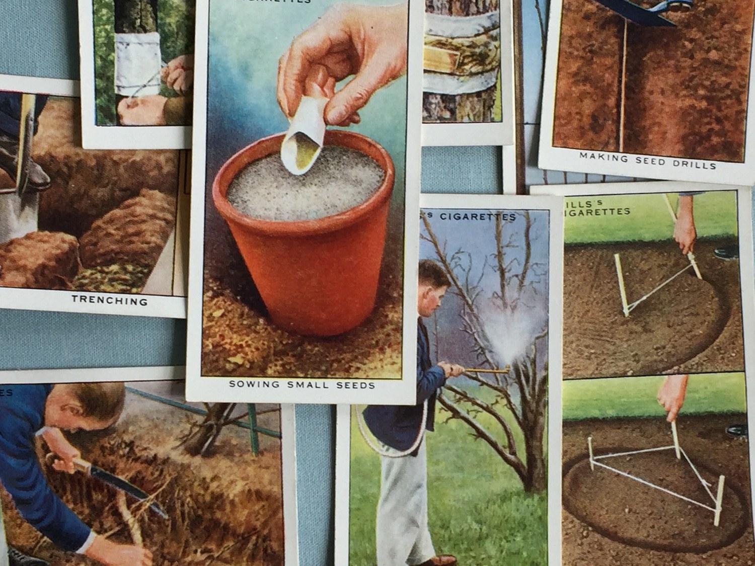 DIY: 2016 - Angela Bartram ‘Be Your Dog’ - LADA Live Art Development Agency