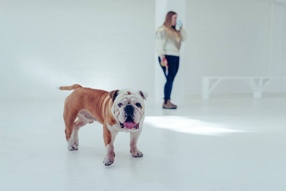 DIY: 2016 - Documentation - LADA Live Art Development Agency