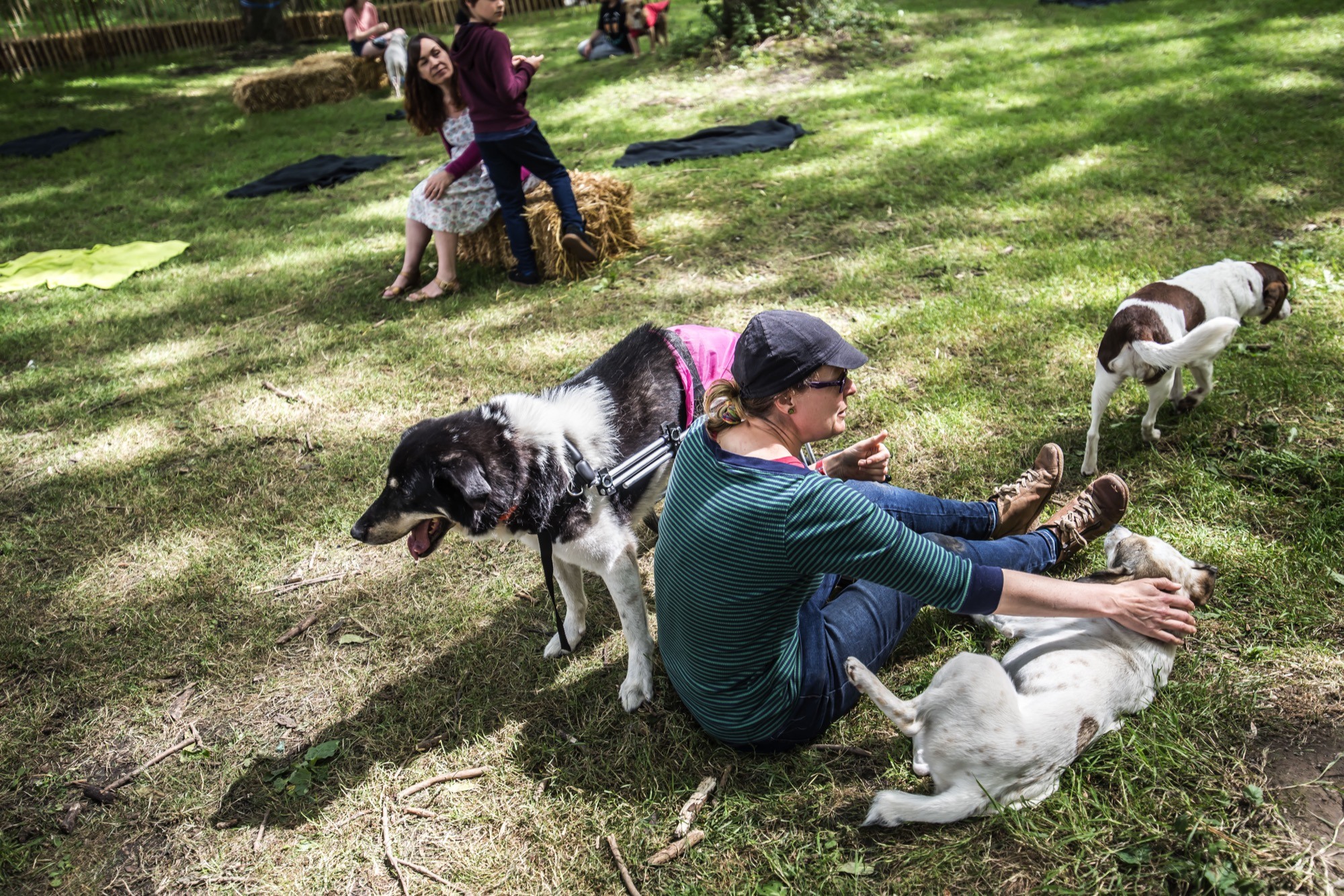 MIF 2019: Animals of Manchester (including HUMANZ) - LADA Live Art ...