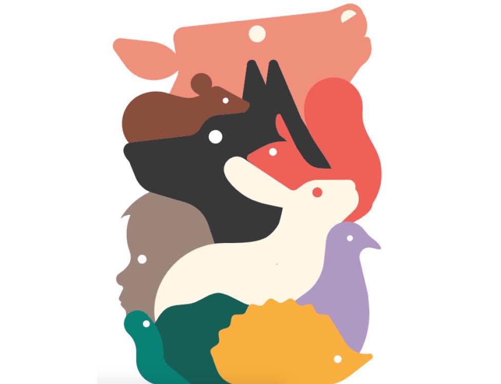 Rob Bailey Illustration